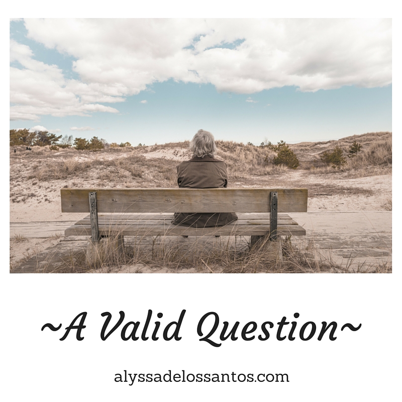 A Valid Question – Alyssa DeLosSantos